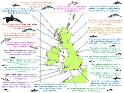 Monthly Maps Adopt A Dolphin