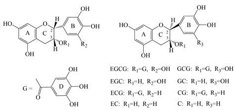 The Role Of Catechins In Regulating Diabetes An Update Review
