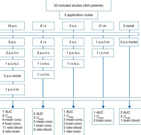 Morphine 6 Glucuronide Is Responsible For The Analgesic Effect After
