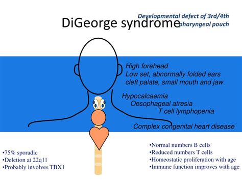 Ppt Pathology Course Chemical Pathology Tom Marjot Powerpoint