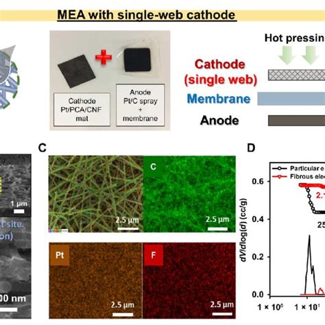 A Single Web Mea For The Pemfc Application A Schematic Illustration Download Scientific