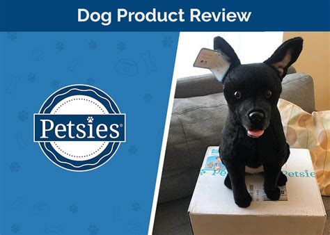 Petsies Custom Pet Plushies Review 2026 An Expert Guide Hepper Pet