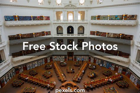 Libaray Students Study Photos Download The Best Free Libaray Students