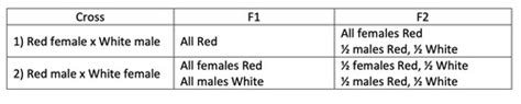 sex linkage and the chromosome theory and genetic linkage and two point