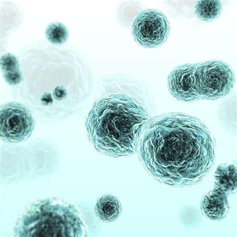 Accelerate Your Cell Based Assays With Atccs Innovative Thawready™ Thp