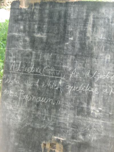 Barefoot Teachers Bodhi Australia