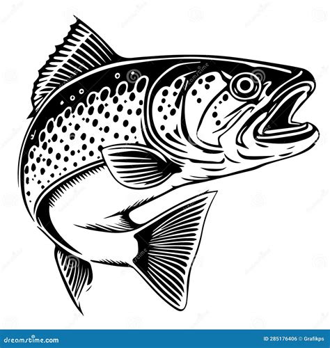 Trout Fish Vector Illustration On A White Background Silhouette Shape