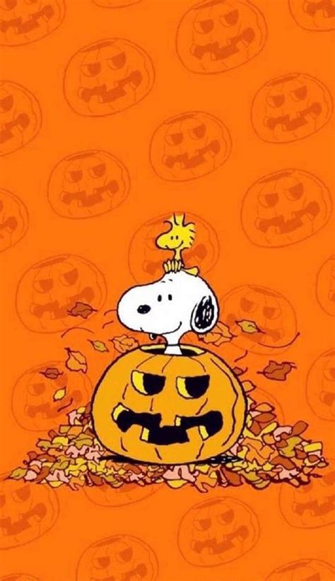 Peanuts Halloween Wallpapers Top Free Peanuts Halloween Backgrounds