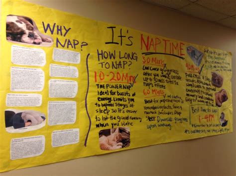 Its Naptime Tips For Taking Naps Ra Passive Program Passive