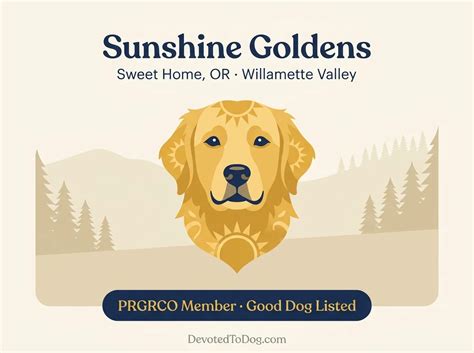 Best Golden Retriever Breeders In Oregon 11 Verified 2026