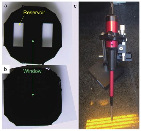 Liquid Cell Transmission Electron Microscopy For Tracking Self Assembly Of Nanoparticles