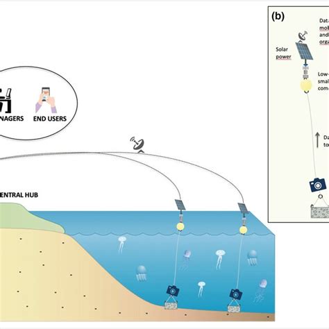 World Oceans Map Considered In The Creation Of Regional Neural Download Scientific Diagram