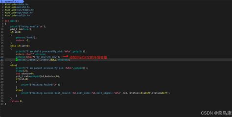 Linux系统编程——进程替换linux 进程替换 Csdn博客