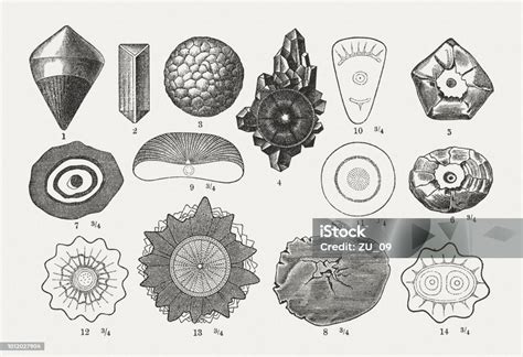 Different Forms Of Hailstones Wood Engravings Published In 1897 Stock