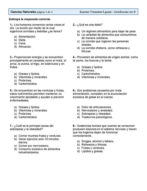 Examen Trimestre Bloque I 5° Primaria Ciclo Escolar 2022 2023página08