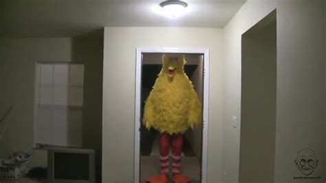 Big Bird Kicks Down Door Youtube
