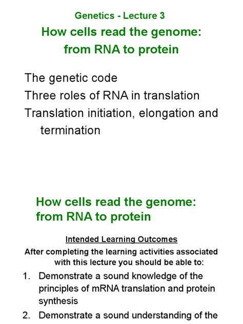 Genetics Pdf Translation Biology Rna