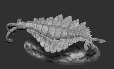 Anomalocaris Canadensis 3d Model Turbosquid 1867067