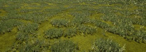 Why Is My Grass Lighting Over Lit On One Side On Under Lit On The Other Side Default Mega Scans