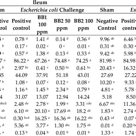 Relative Abundance Of Bacteroidota Firmicutes And Proteobacteria Download Scientific