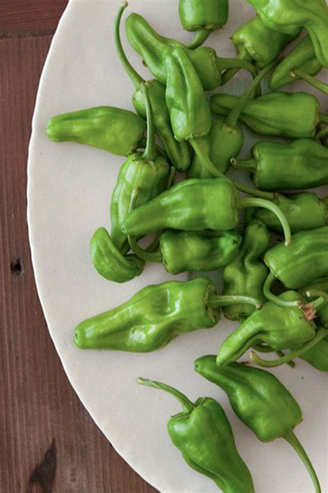 Padron Peppers Recipe