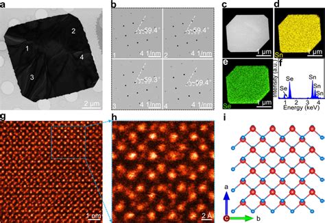 Atomic Structure Of Pvd Synthesized 2d Snse A Low Magnification Tem