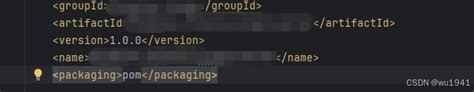 idea执行maven clean打包时出现[error]some problems were encountered while