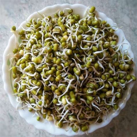 Can You Freeze Bean Sprouts Eat Your Beets