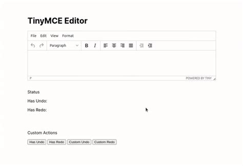 Handling Undo Function In Rich Text Editors Tinymce