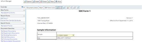 Eform Data Entry Examples