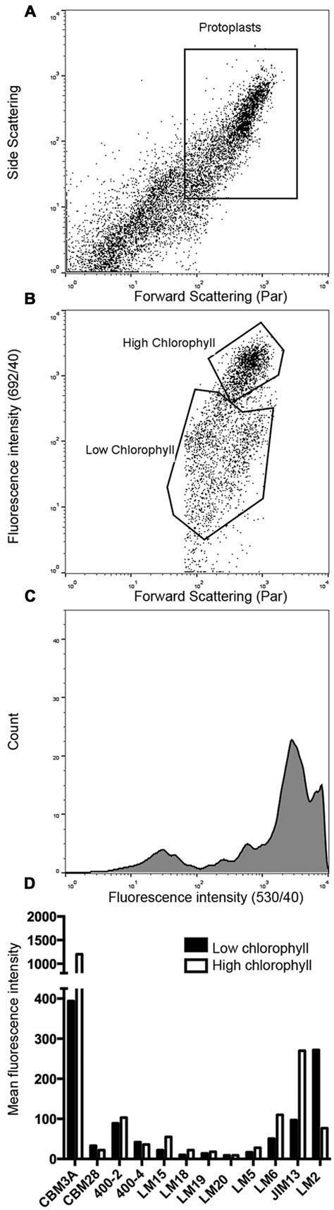 Flow Cytometry Analysis Of P Patens Protoplasts Regenerated For 24 H