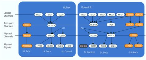 A Simple Guide To Csi Rs Codebook In 5g Networks Logic Fruit Technologies