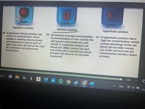 Solved Explain How Isotonic Solution Is Important To Eyes