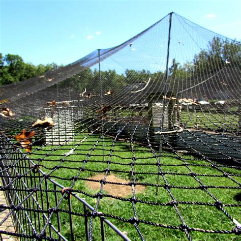 25ft X 25ft Heavy Knotted Poultry Netting 1mesh Your One Stop