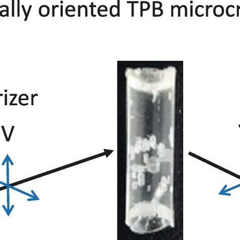 Optical Setting Of Anisotropic Fluorescence Measurements For A Download Scientific Diagram