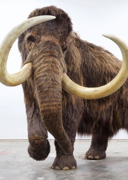 Fan Casting Woolly Mammoth As Cenozoic Species In Jurassic Park