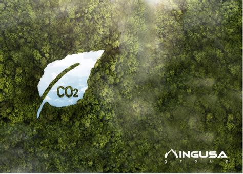 The Role Of Propane In Achieving Net Zero Emissions Ingusa