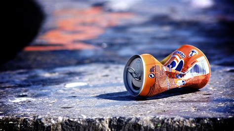 Jason Efstathiou At Donna Bush Blog