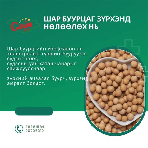 САЙН ДҮПҮ Шар буурцаг зүрхэнд хэрхэн нөлөөлдөг вэ