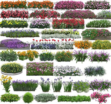 Photoshop Tree Elevations Png Landscape Architectural Graphics Clipart