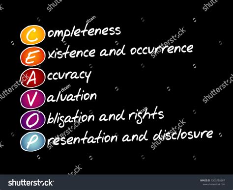 Assertions Ceavop Completeness Existence Occurrence Accuracy เวกเตอร์