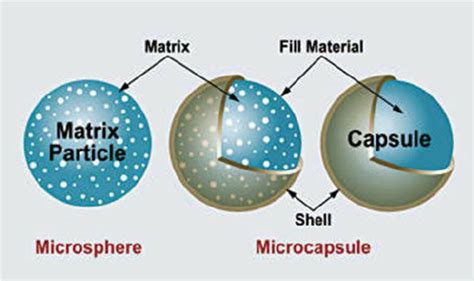 Different Micro Particle Structures Download Scientific Diagram