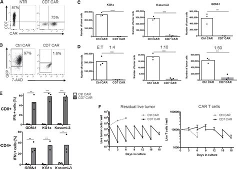 Figure 1 From Cd7 Car T Cells For The Therapy Of Acute Myeloid Leukemia