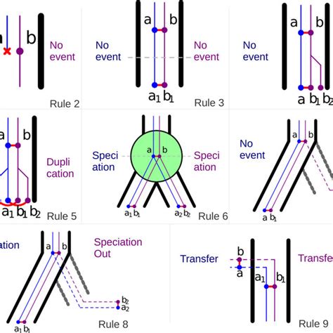 propagation rules propagation rules for an adjacency ab a function of