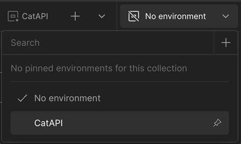 Managing Environment Variables With Postman Unlocking Dataa Gentle Introduction To Apis