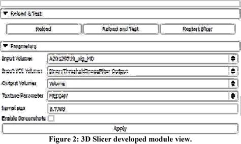 Figure 2 From Python Implementation Of Local Intervoxel Texture