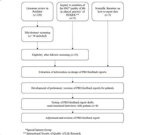 Pro Feedback Report Development Process Flow Chart Download