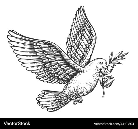 Flying Peace Dove With Olive Branch Spiritual Vector Image