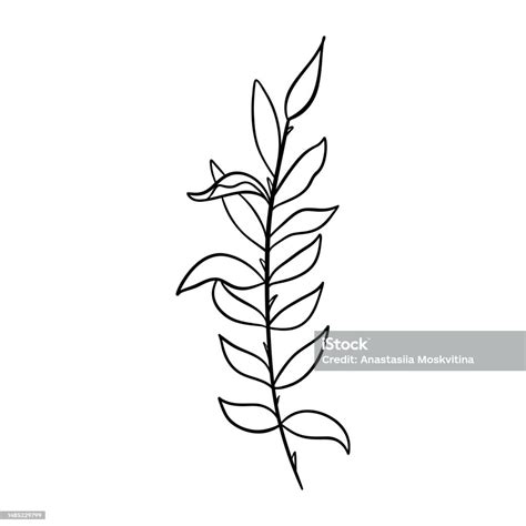 스칸디나비아 스타일의 나뭇잎이 있는 귀여운 검은색 윤곽선 낙서 봄 테마 프레임 나뭇가지의 디지털 그림 옷 포스터 배너 엽서 웹 디자인 채색을 인쇄합니다 0명에 대한 스톡