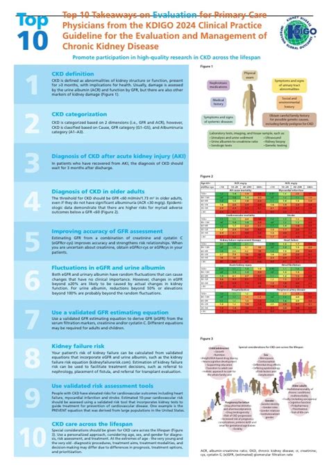 Kdigo2024ckdguideline Management Of Ischaemic Stroke Survivors